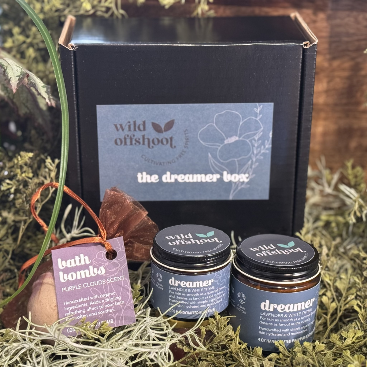 Dreamer Three Pack | Wild Offshoot
